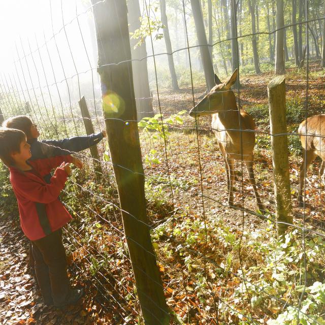Visit Rouen with your family