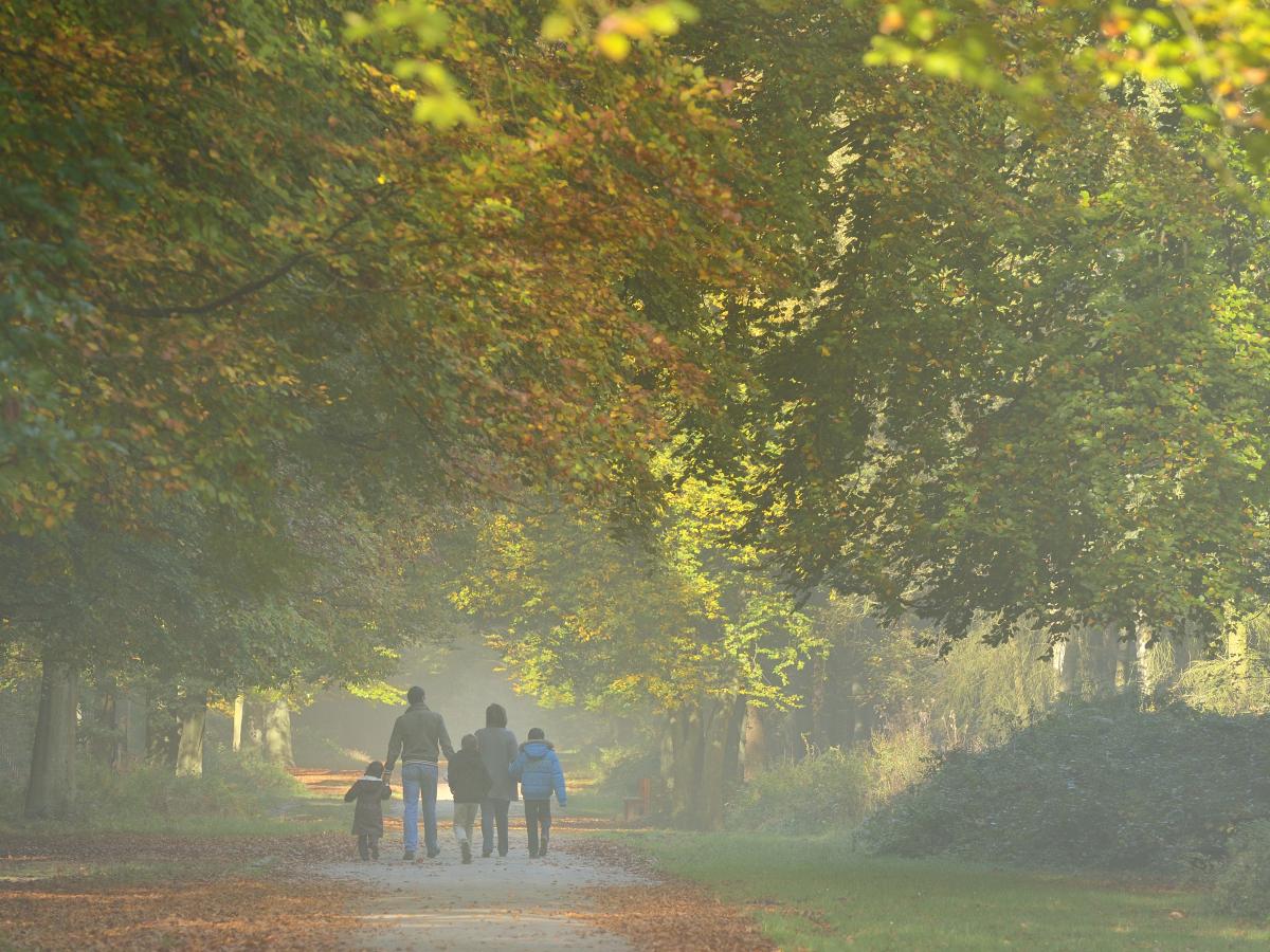 Le top des randonnées