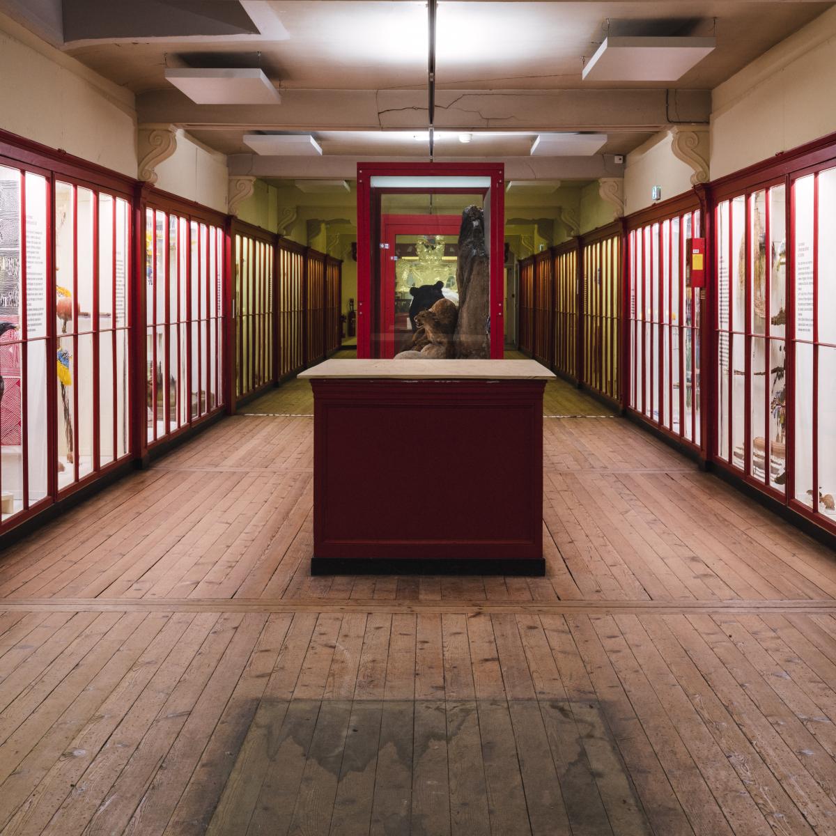 Twelve free museums in Rouen