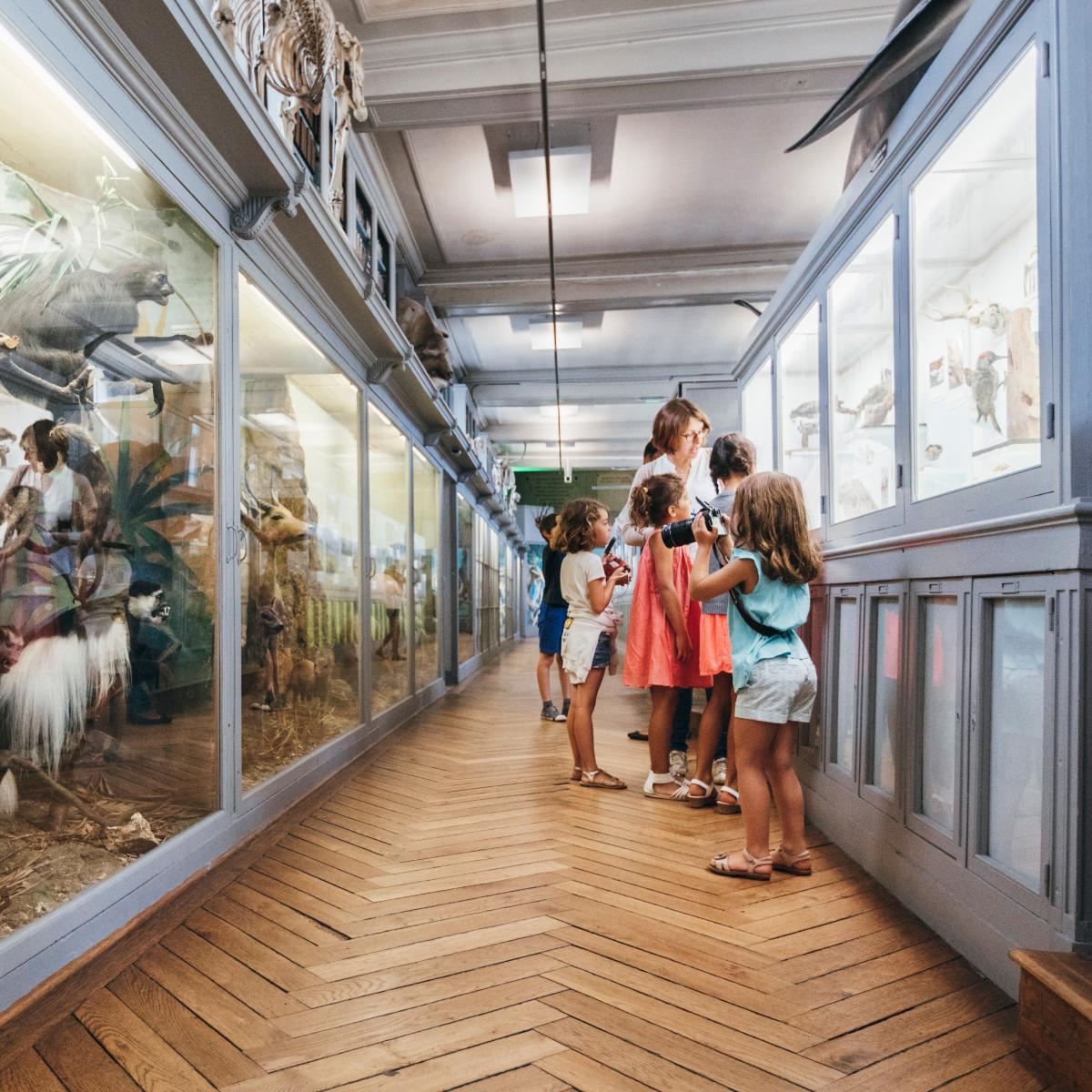 A summer at the museum